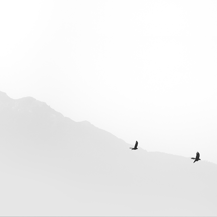 Landscape (2006-). – KEVIN SAINT GREY